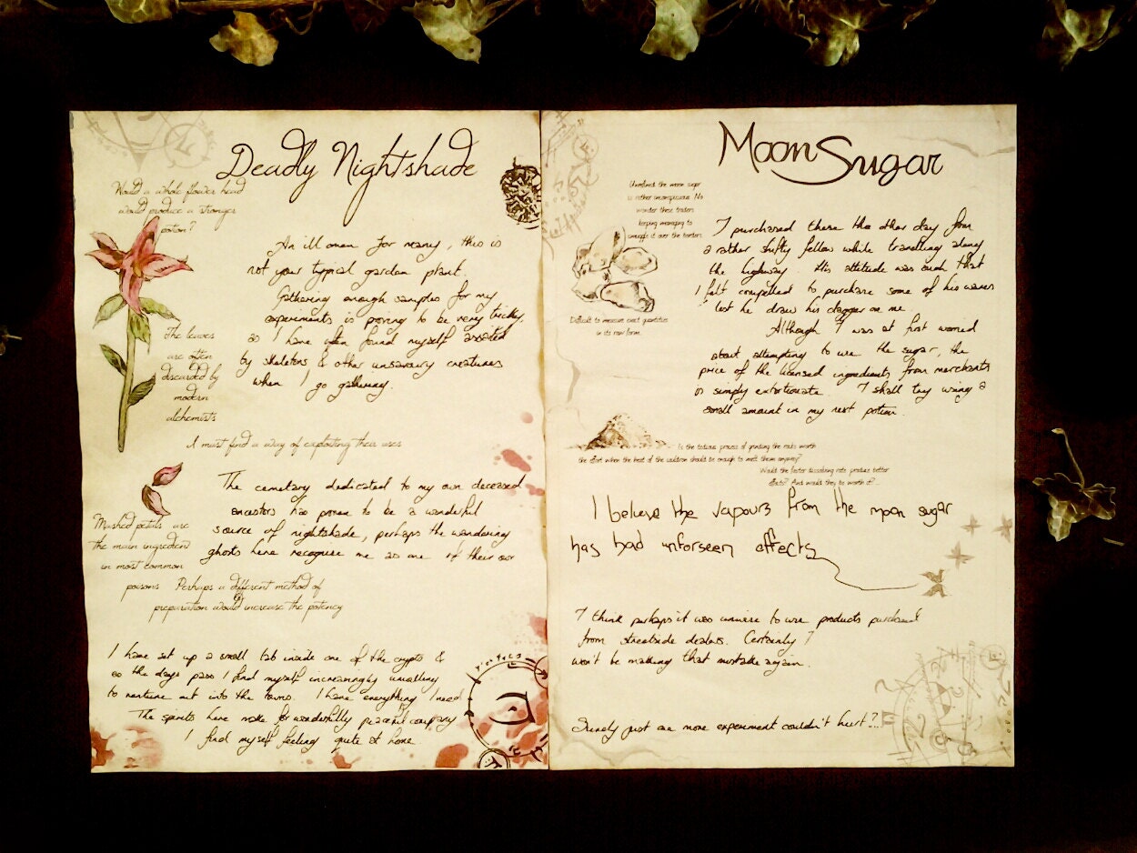 Alchemist Journal Pages Adventurer Diary Spells and Alchemy | Etsy