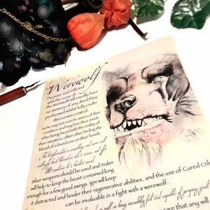 Bestiary Part 7 - Witch Hunter White Wolf Journal Pages. Fiend, Katakan ...