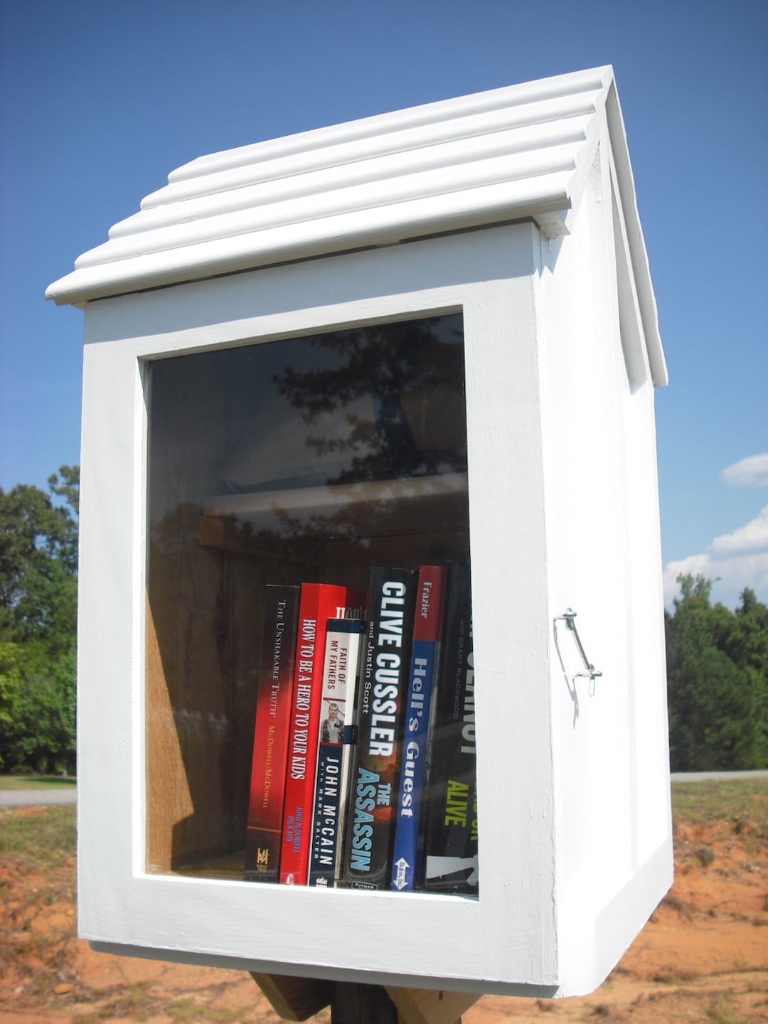 Painted Cedar Neighborhood Book Exchange, Two Shelf Library - Etsy