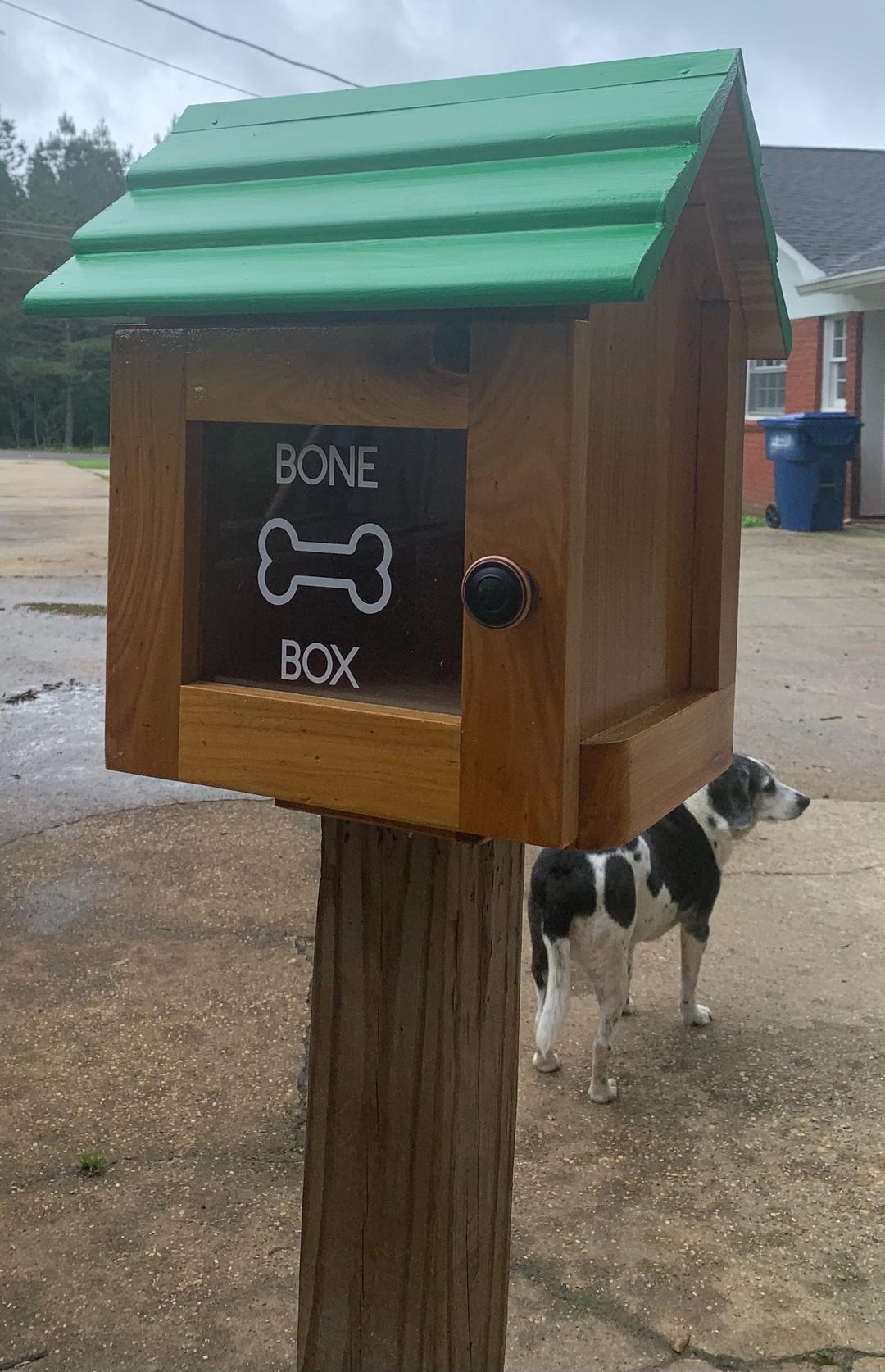 Custom XL Dog Bone Box, Wooden Roof, Graphics, and Plexiglass in ...