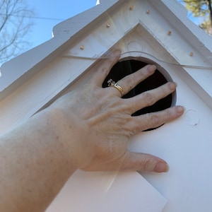 Cat Geocache With Graphics, Hidden Compartment, 2 Shelf, Neighborhood ...