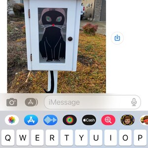 Cat Geocache Neighborhood Book Exchange, Hidden Compartment - Etsy