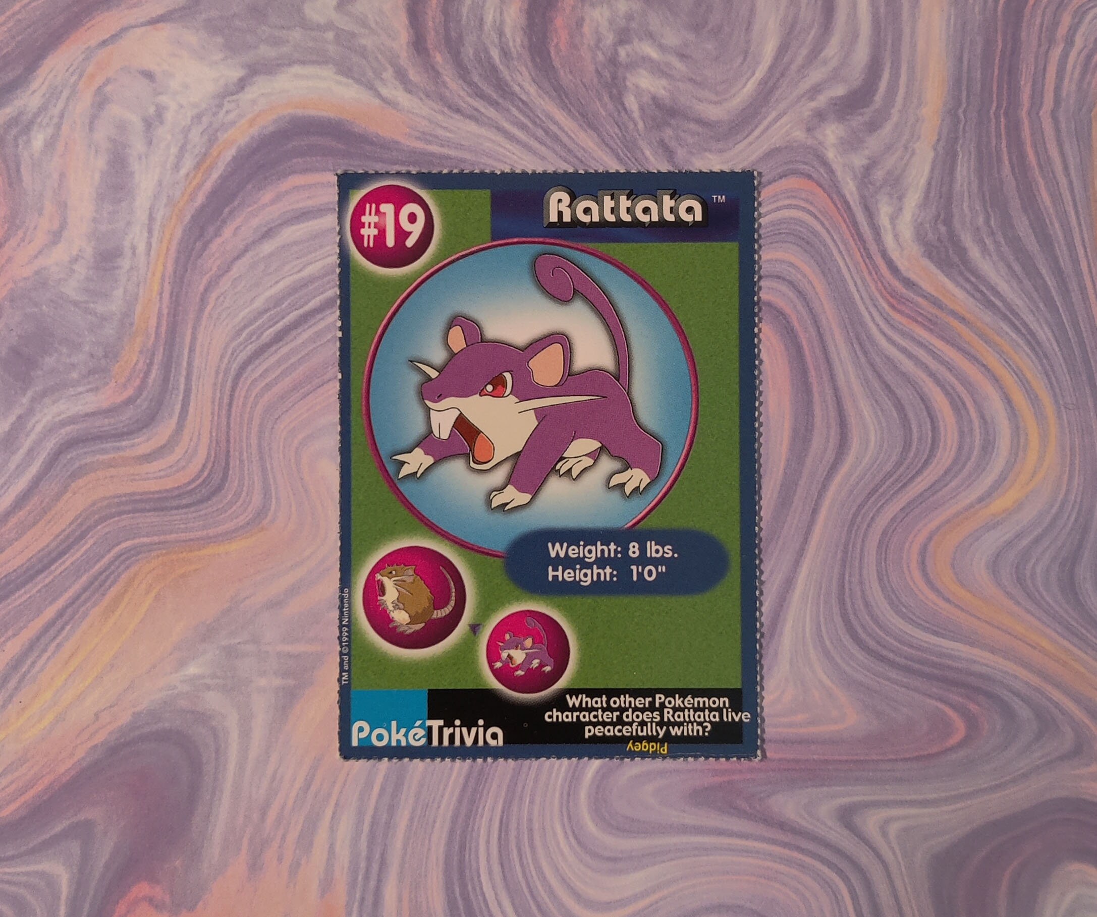 Vintage 1999 Poketrivia Rattata Card - Etsy