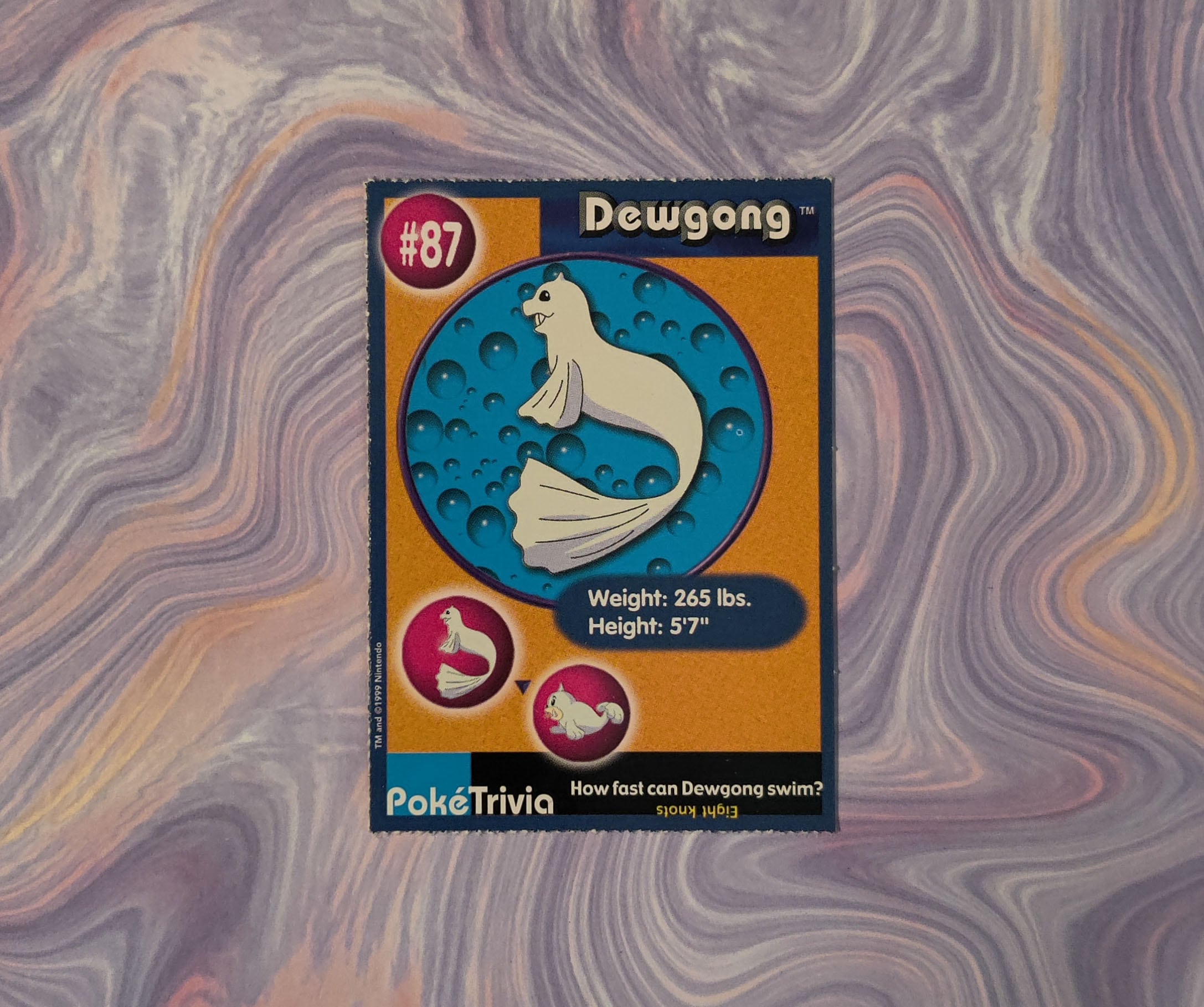 Dewgong Card