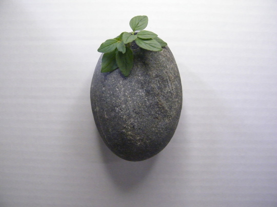 Wall Vase,hanging Vase, Wall Planter, Stone Vase - Etsy