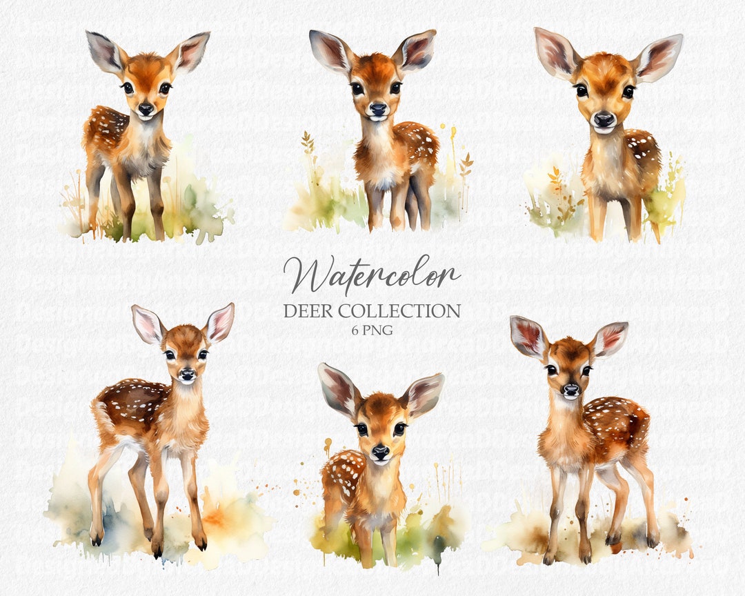 Watercolor Deer Clipart Baby Deer Png Woodland Animals PNG - Etsy