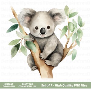 Koala Watercolor Clipart Bundle, Cute Koala Png Bundle, Sublimation ...