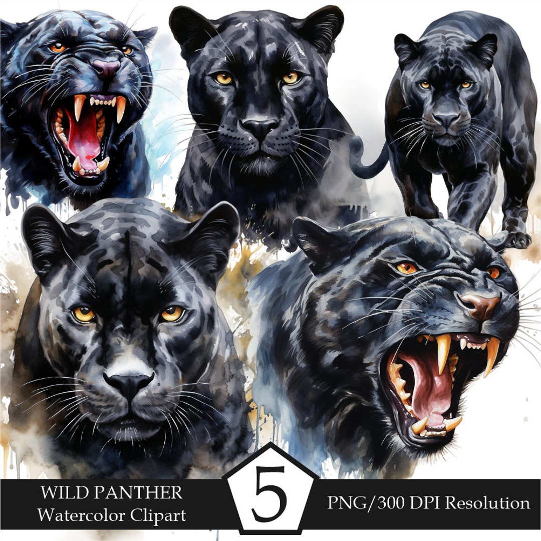 Watercolor Panther Clipart, Black Panther, Wild Panther, Wild Animals ...