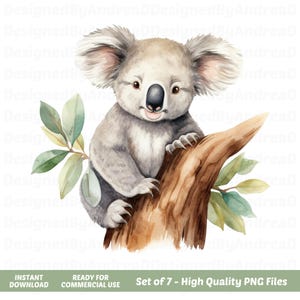 Koala Watercolor Clipart Bundle, Cute Koala Png Bundle, Sublimation ...