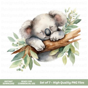 Koala Watercolor Clipart Bundle, Cute Koala Png Bundle, Sublimation ...