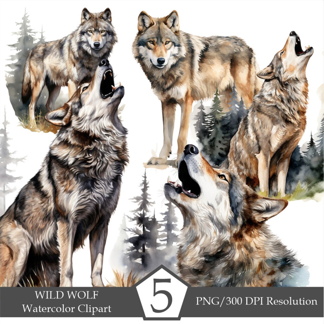 Watercolor Wolf Clipart, Wolf, Wild Wolf, Howling Wolf, Wild Animals ... Watercolor Wolf Clipart, Wolf, Wild Wolf, Howling Wolf, Wild Animals ...