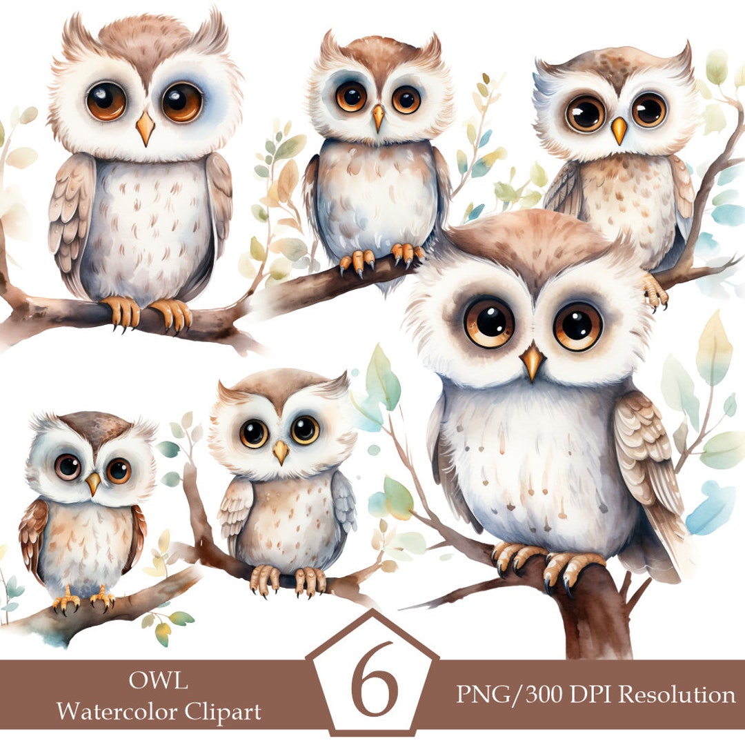 Watercolor Winter Owls Clipart, Cute Owl, Baby Owls, White Owl PNG ...