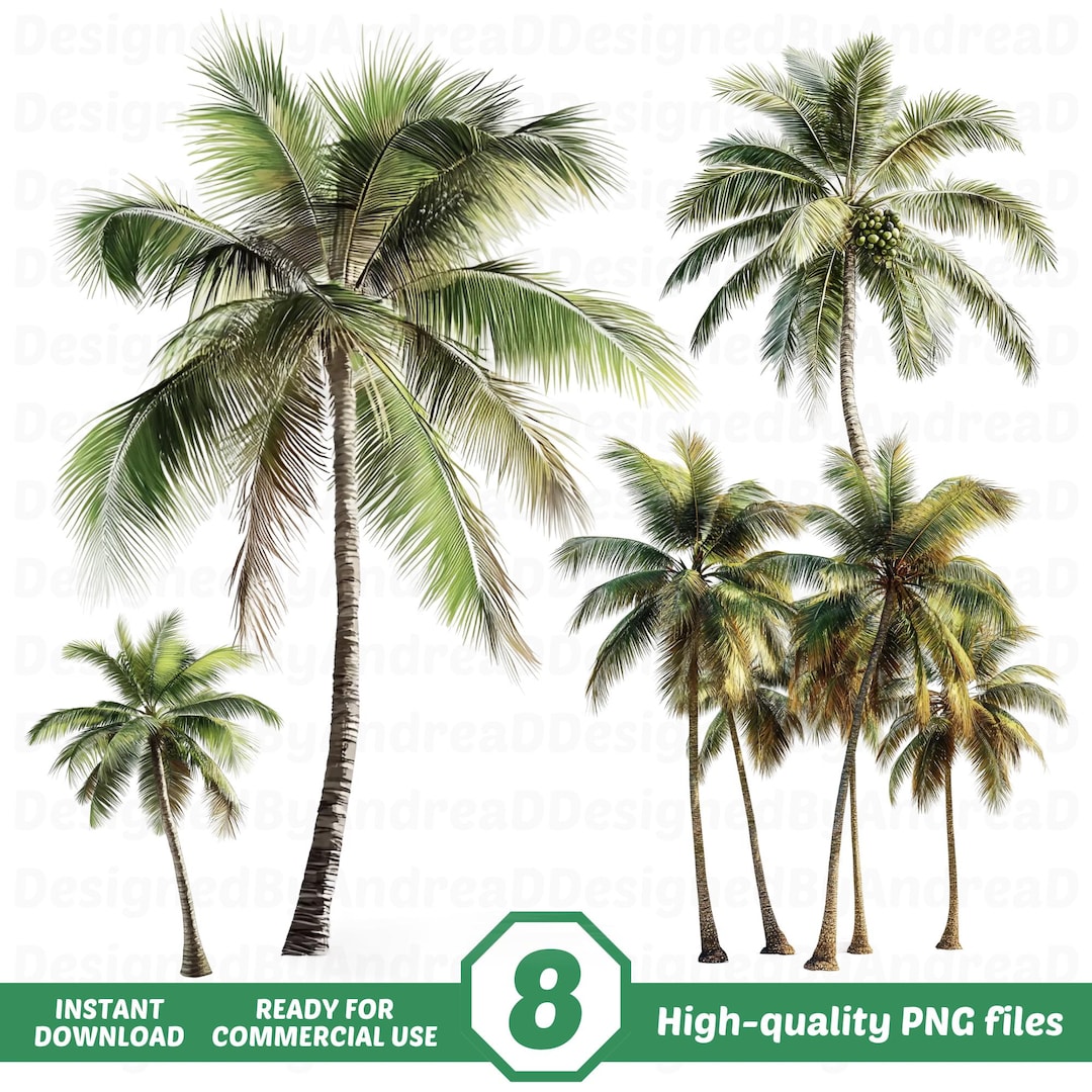 8 Realistic Palm Tree Clipart Bundle, Tropical Tree Clipart, Beach ...