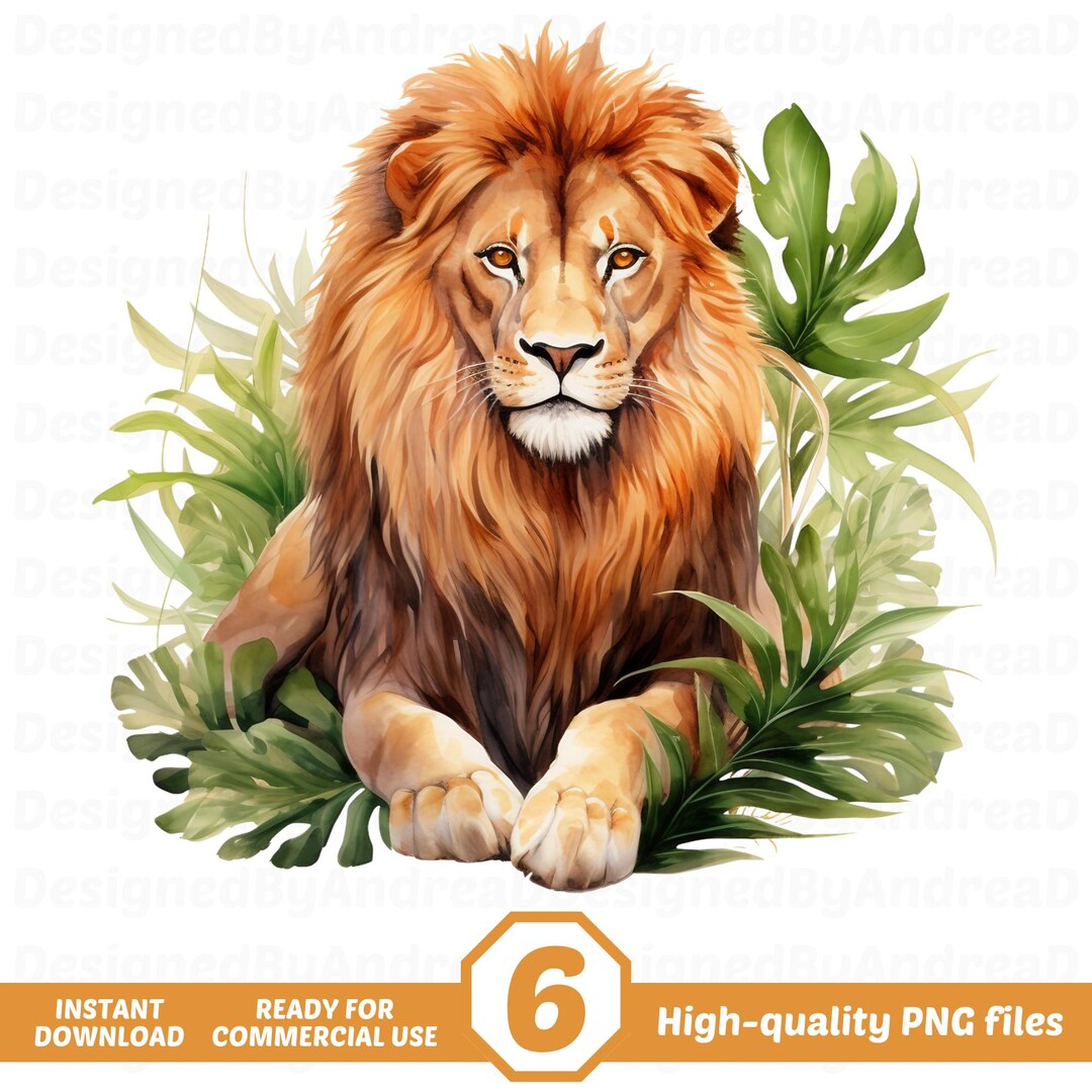 6 Lion Clipart, Watercolor Lion, Lion King, Realistic Lion, Sublimation ...