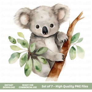 Koala Watercolor Clipart Bundle, Cute Koala Png Bundle, Sublimation ...