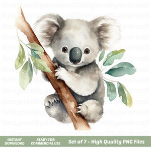 Koala Watercolor Clipart Bundle, Cute Koala Png Bundle, Sublimation ...