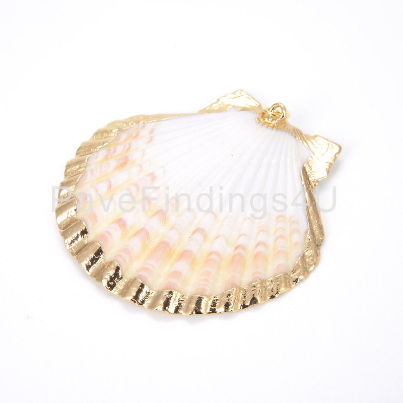 Shell Charms - Etsy