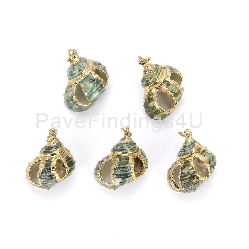 Hermit Crab Shell - Etsy
