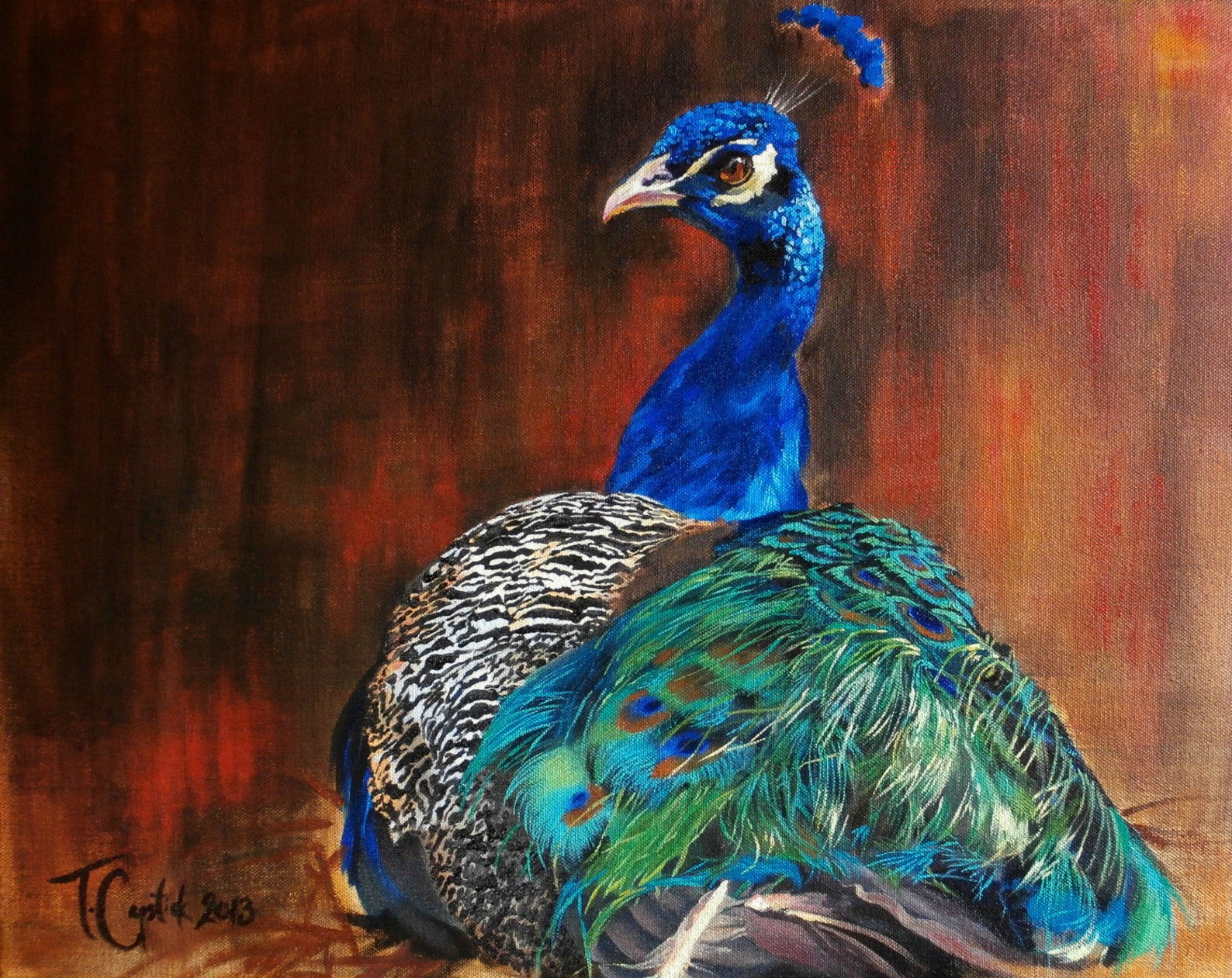 Peacock, Original Oil Painting - Etsy
