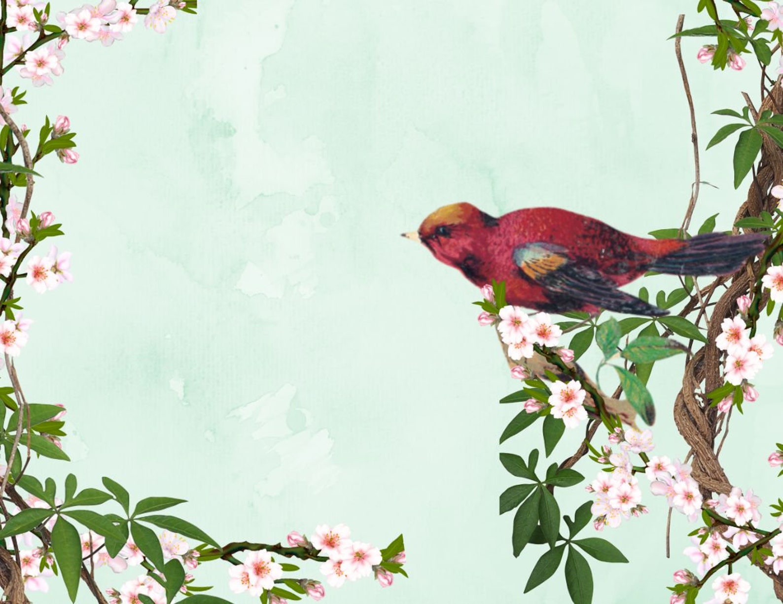 Bird Paper, Journal Kit, Instant Prints, Paper Pack, JPEG, Digital ...