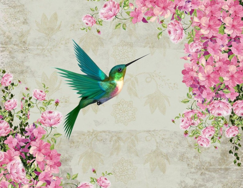Bird Paper, Journal Kit, Instant Prints, Paper Pack, JPEG, Digital ...