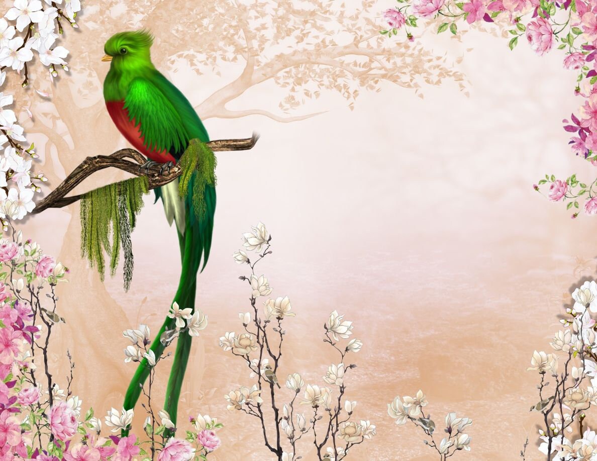 Bird Paper, Journal Kit, Instant Prints, Paper Pack, JPEG, Digital ...