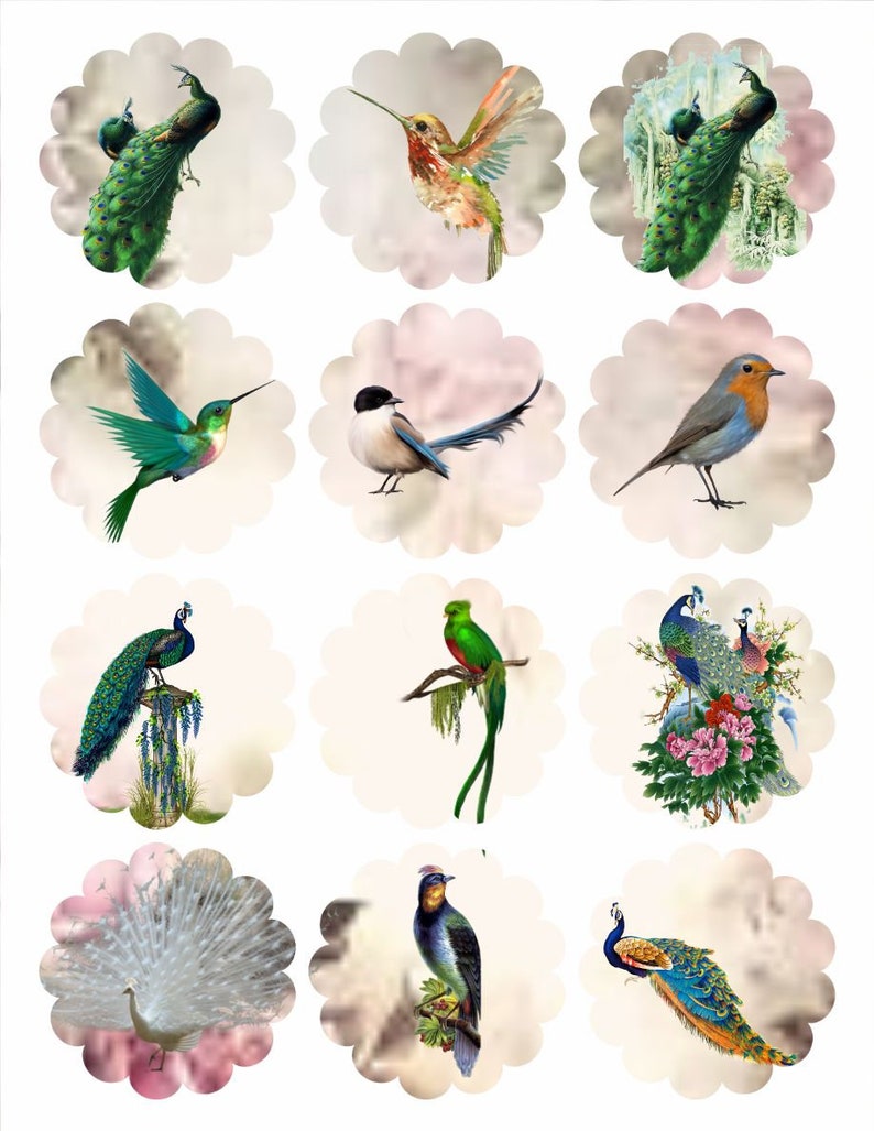 Bird Paper, Journal Kit, Instant Prints, Paper Pack, JPEG, Digital ...
