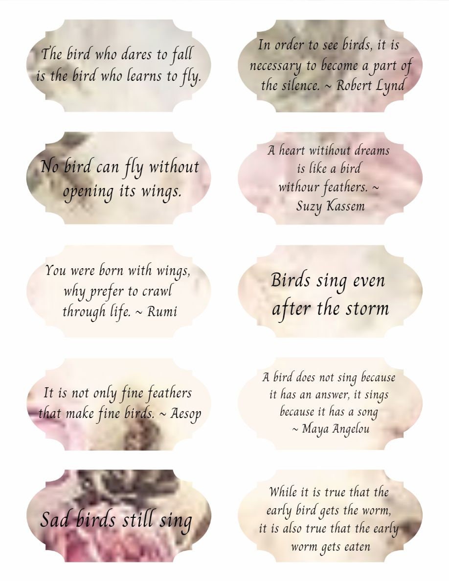 Bird Paper, Journal Kit, Instant Prints, Paper Pack, JPEG, Digital ...
