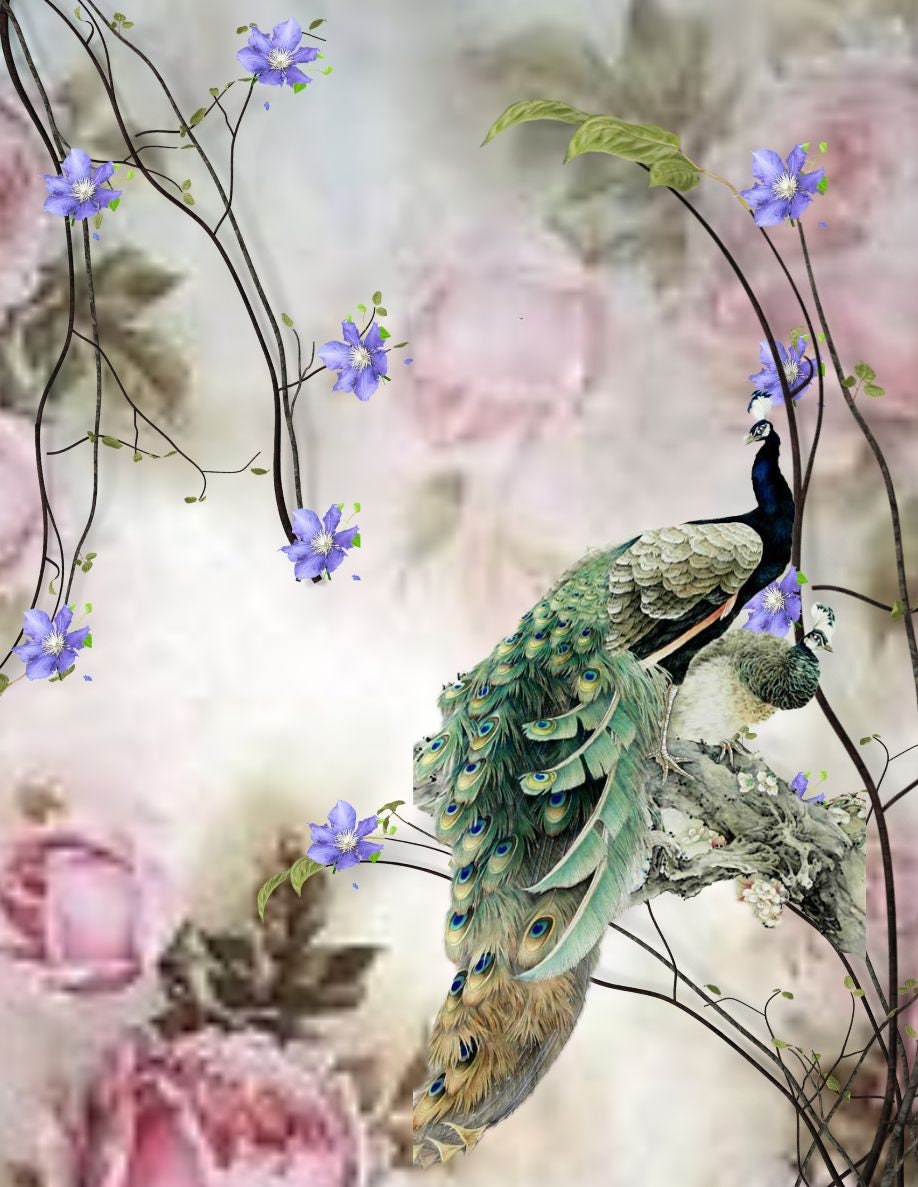 Bird Paper, Journal Kit, Instant Prints, Paper Pack, JPEG, Digital ...