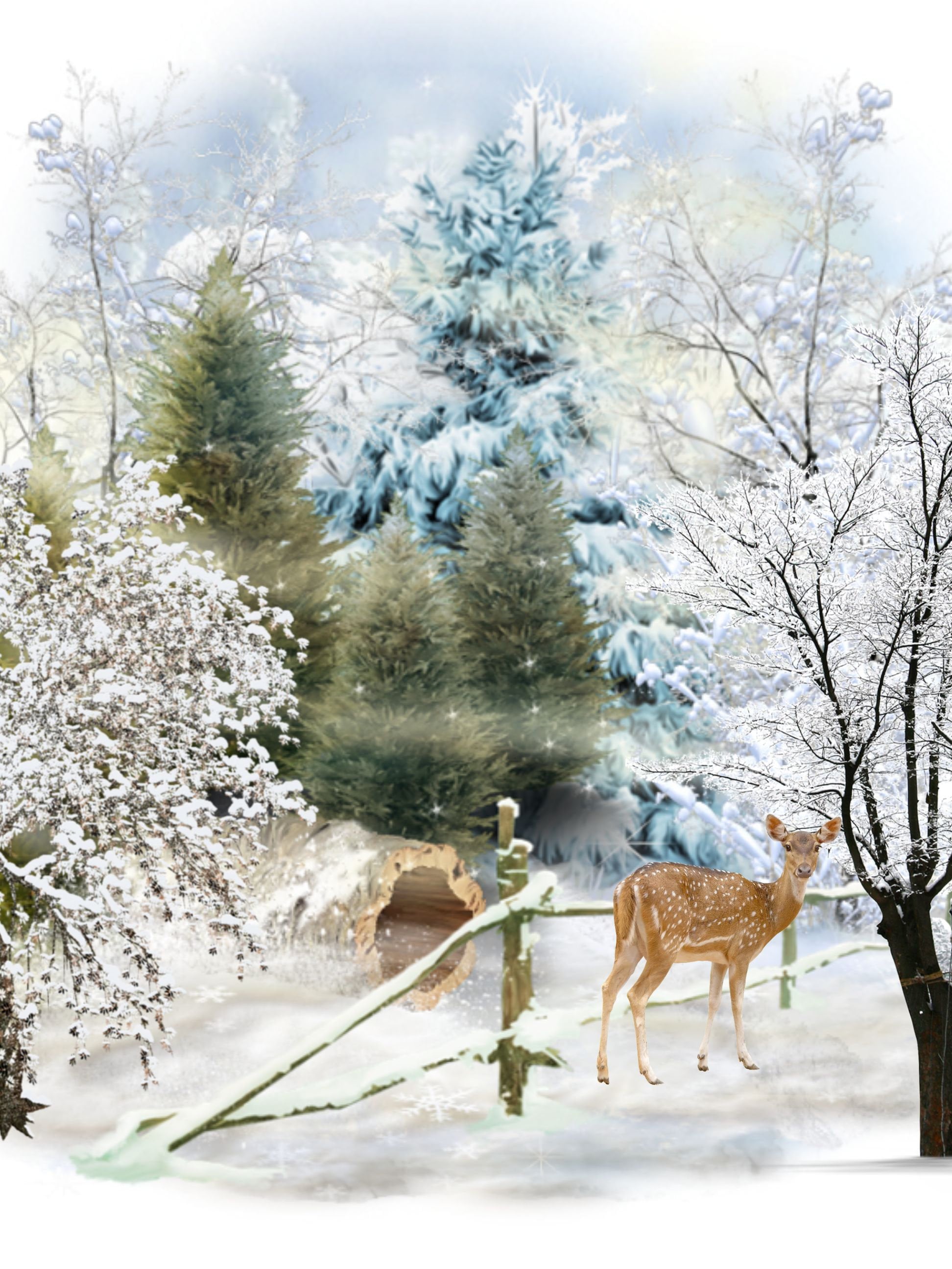 Junk Journal Snow Designs Winter Paper Winter Majesty Paper - Etsy