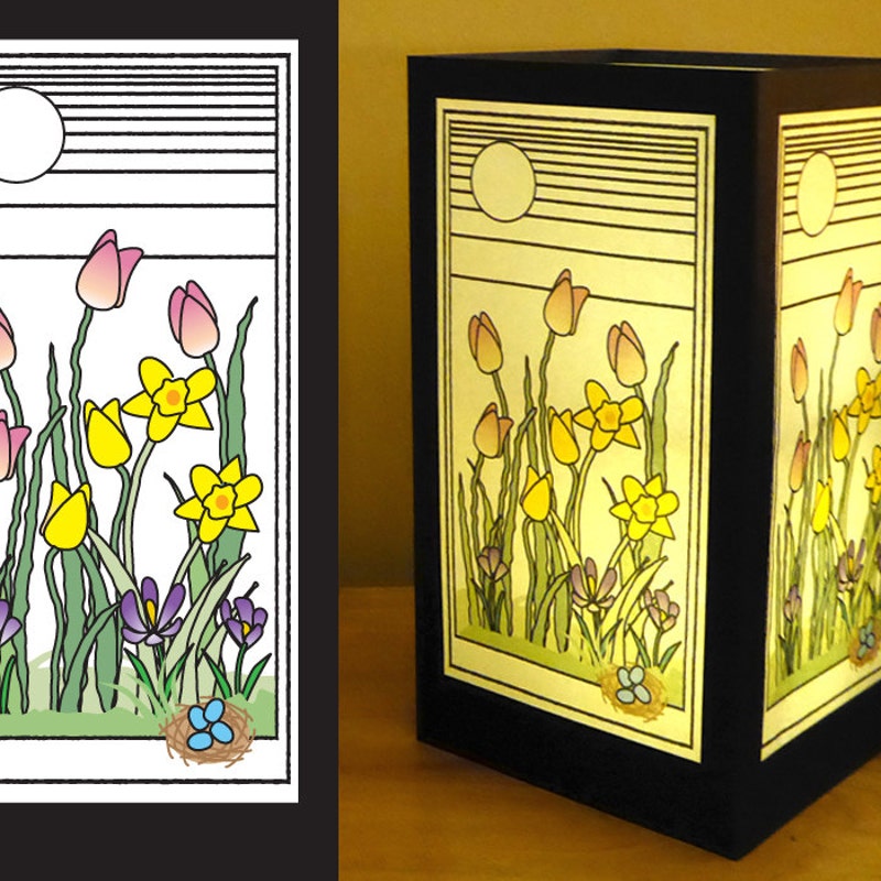 Paper Luminaries - Etsy