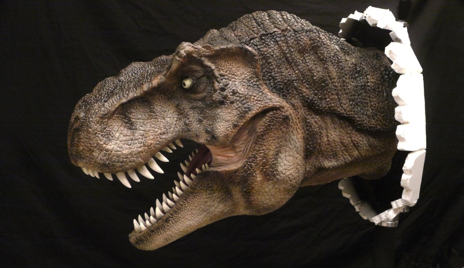 Life-like Wall Bursting T-rex Tyrannosaurus Bust Hanging Prop - Etsy