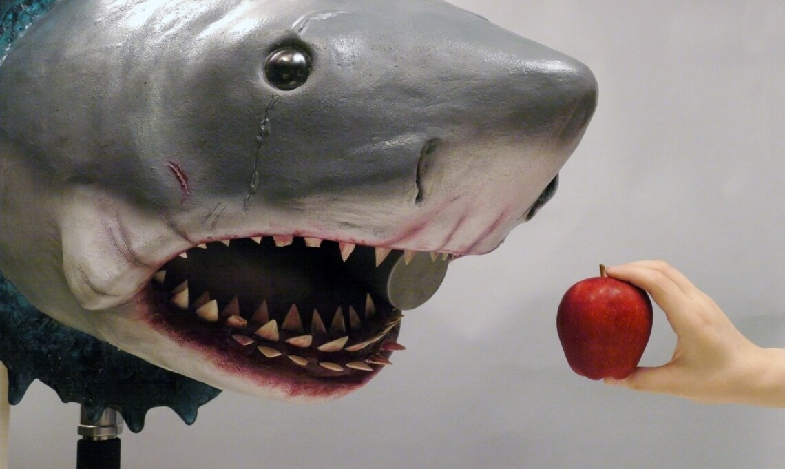 Large Bruce the Shark Jaws Wall Hanging Bust Prop - Etsy