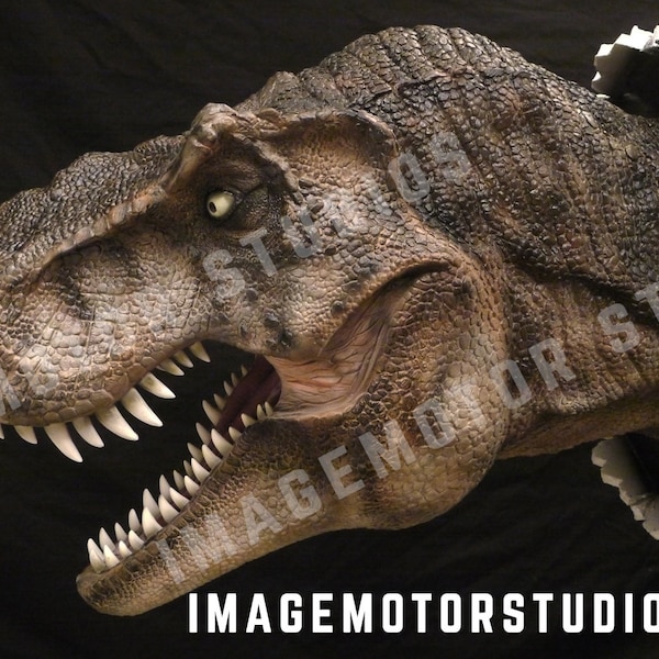 T Rex Head - Etsy