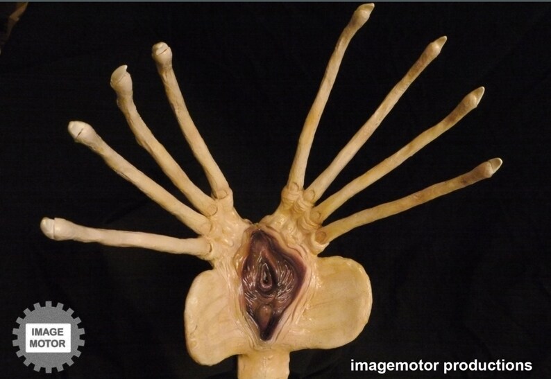Life Size 1:1 Scale Alien Facehugger Prop Replica - Etsy