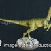 Life Size Compsognathus compy Dinosaur Prop Replica - Etsy