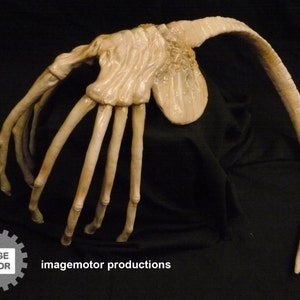 Life size 1:1 scale Alien facehugger prop replica | Etsy