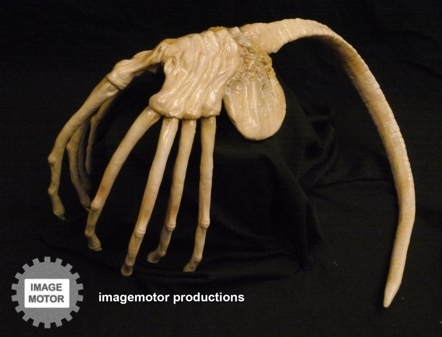 Life Size 1:1 Scale Alien Facehugger Prop Replica - Etsy