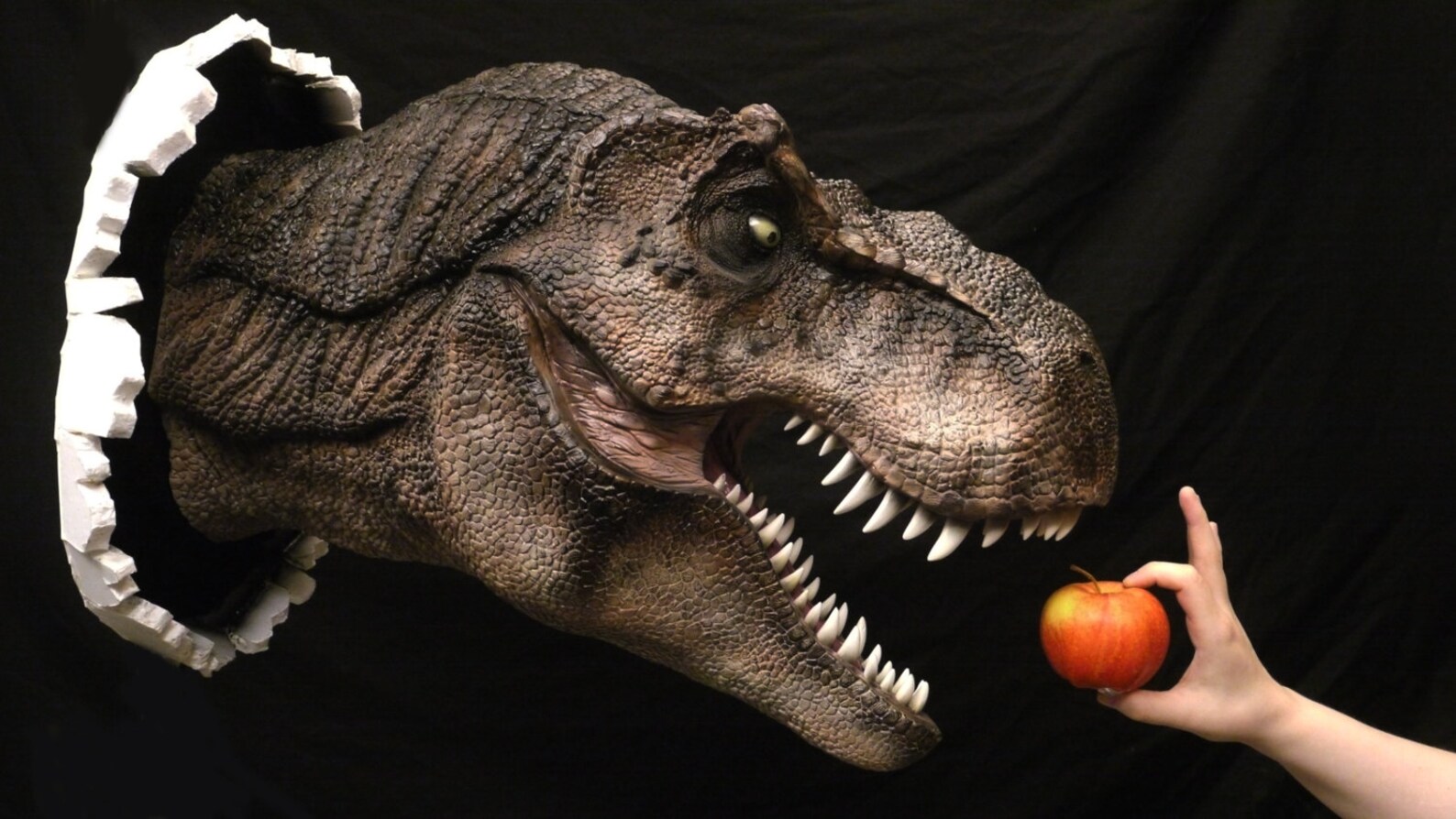 Life-like Wall Bursting T-rex Tyrannosaurus Bust Hanging Prop - Etsy