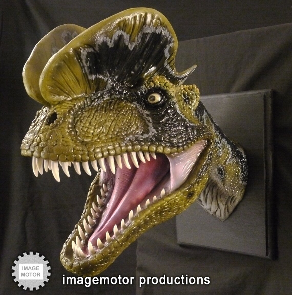 Life Size Dilophosaurus spitter Dinosaur Head Prop Replica - Etsy