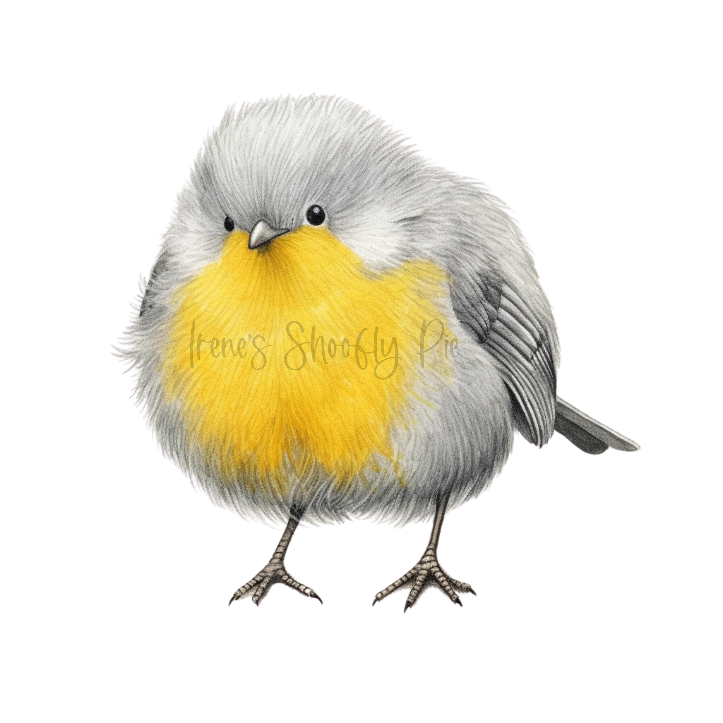 Quirky Bird Clipart Whimsical Birds PNG Mixed Media Digital Download ...