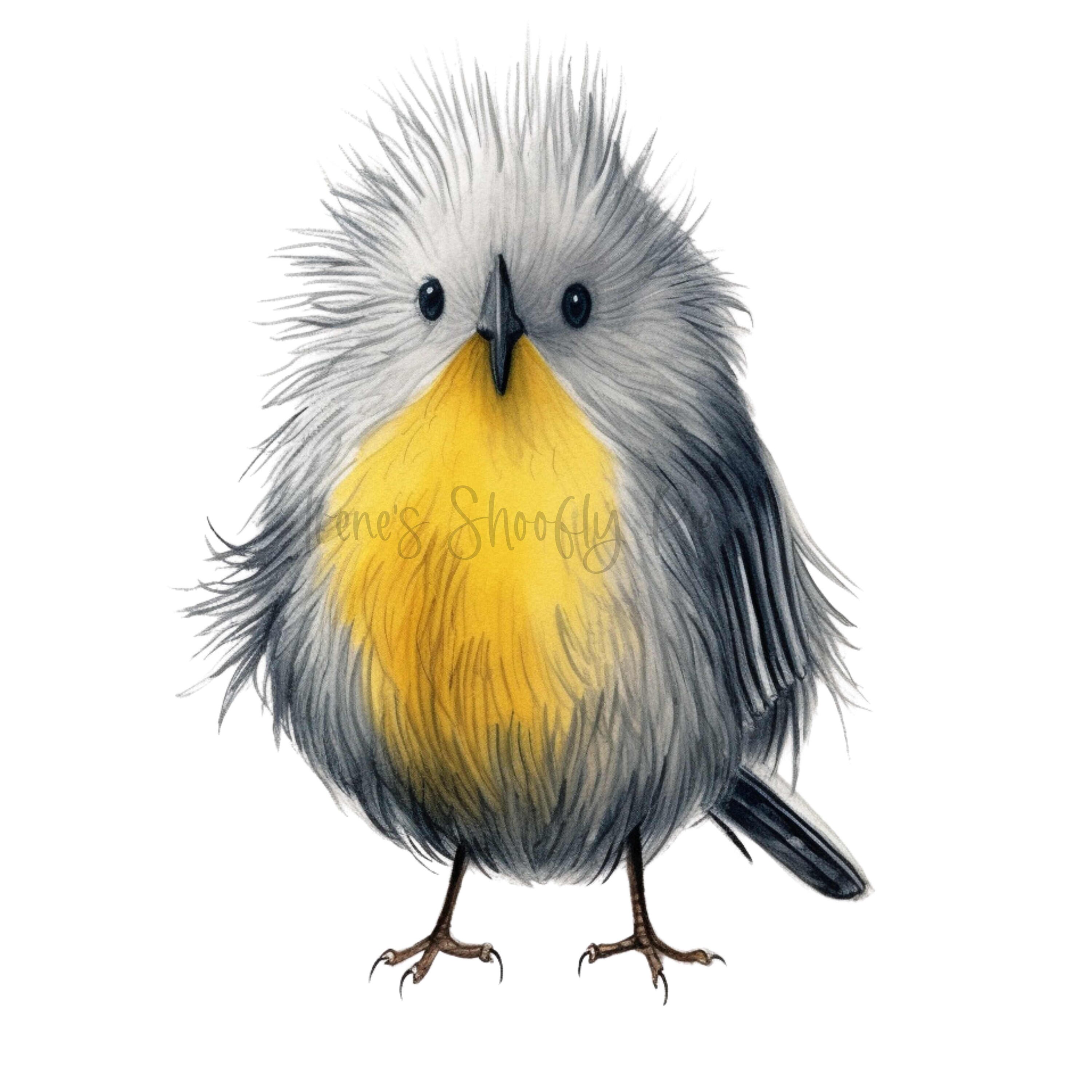 Quirky Bird Clipart - Whimsical Birds PNG - Mixed Media - Digital ...