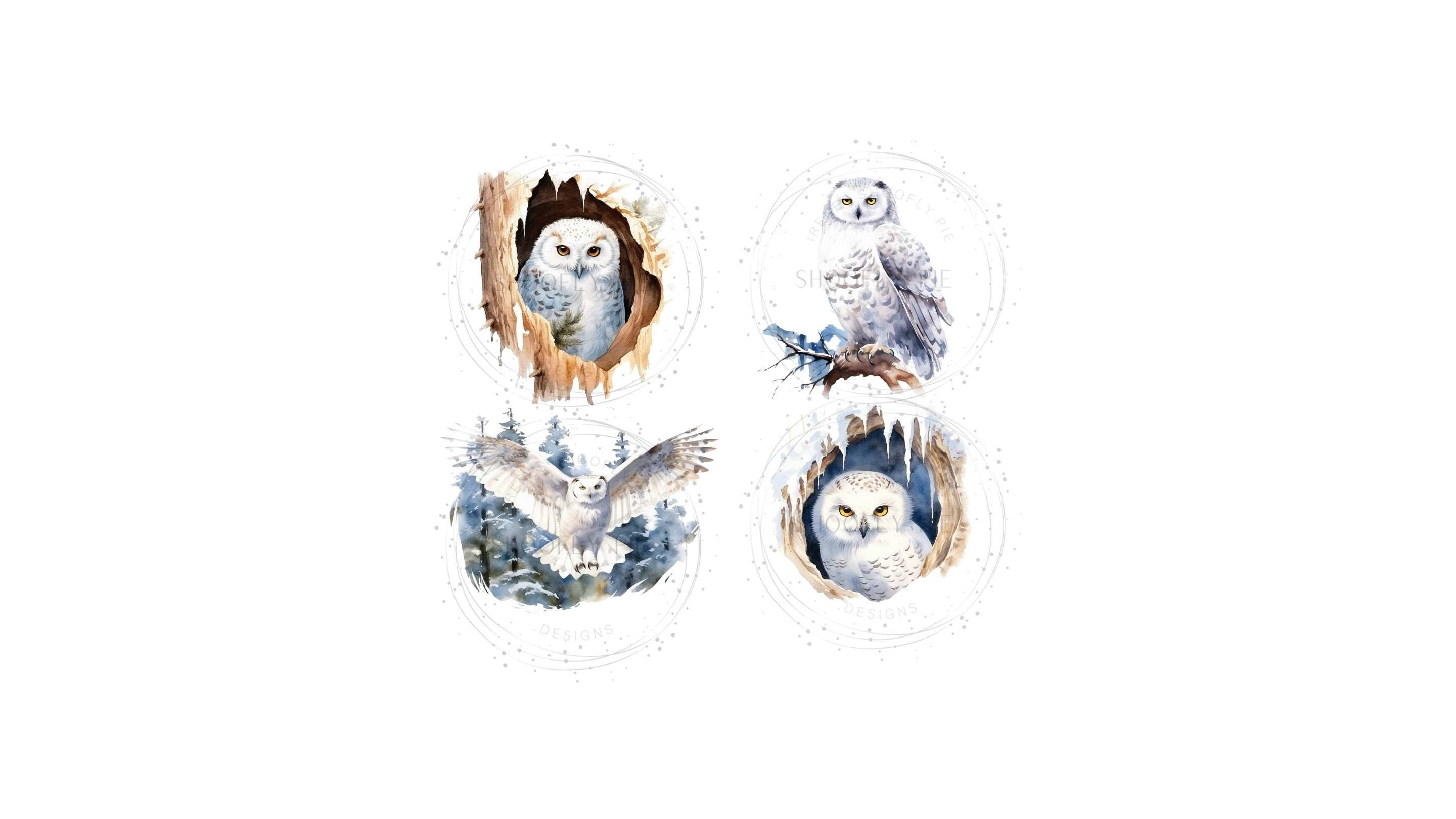 Arctic Snow Owls Watercolor Clipart Snow Owls PNG Owl Illustrations ...