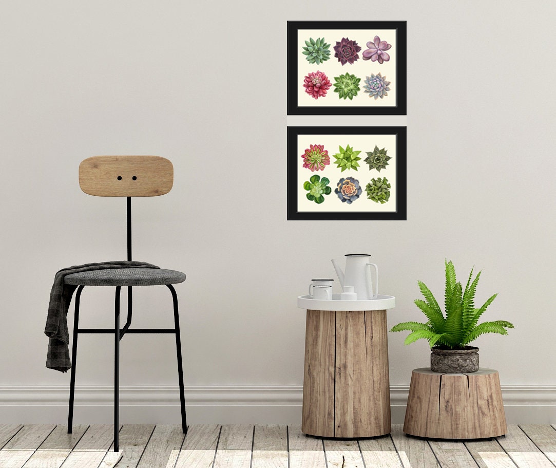 Succulents Botanical Wall Art Print Set of 2 Prints Beautiful | Etsy