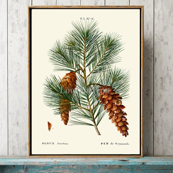 Pinecone Wall Decor - Etsy