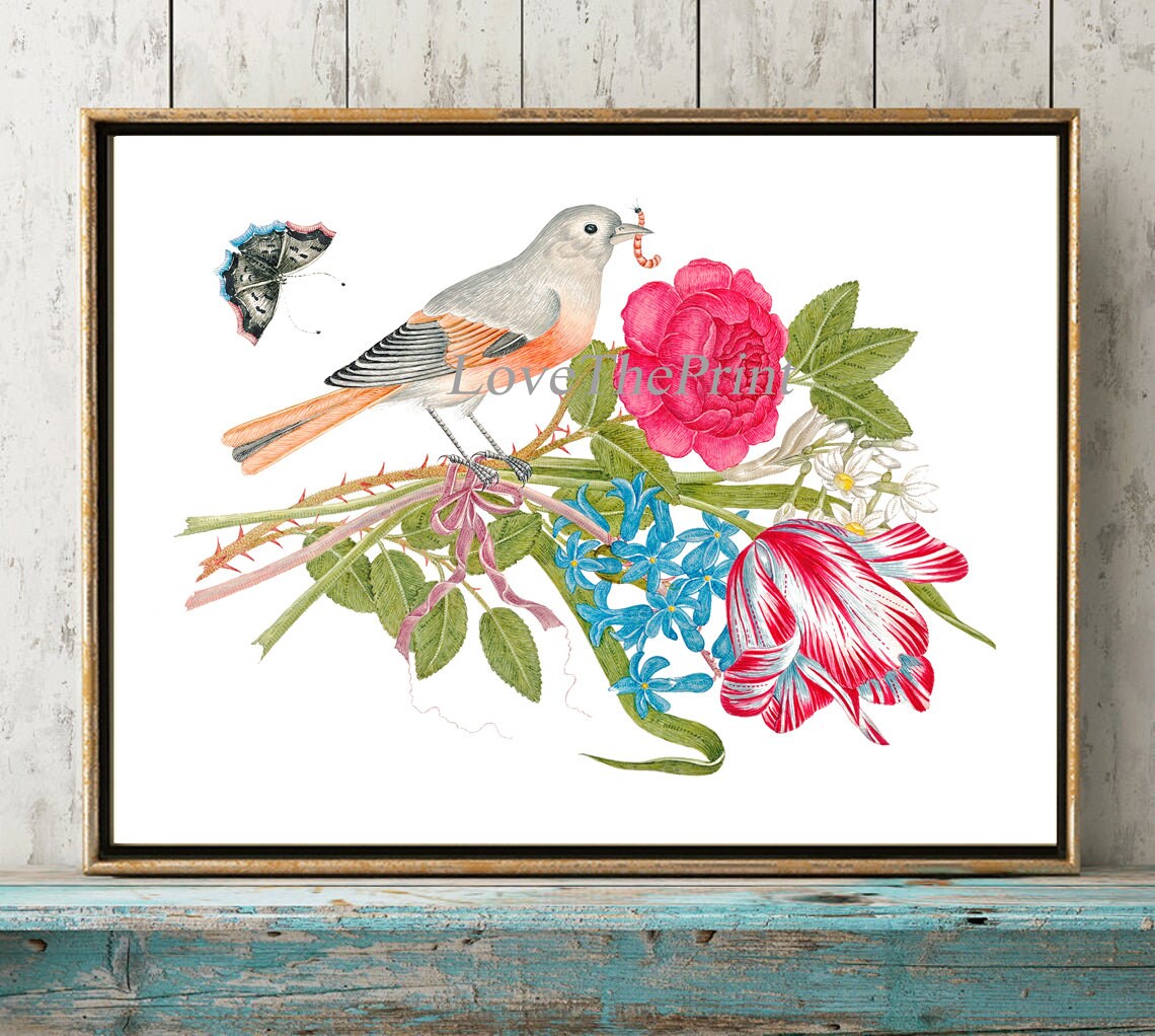 Bird Print Wall Art BOT9 Beautiful Antique Large Bird | Etsy