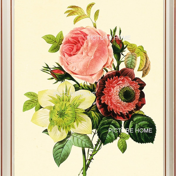 Botanical Rose Print - Etsy