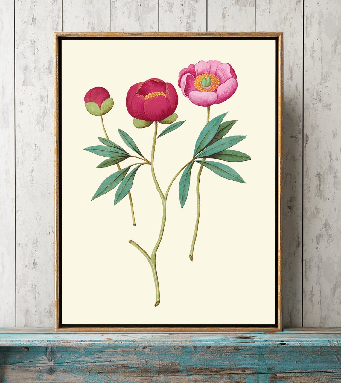 Peonies Wall Art Print ABD44 Beautiful Antique Pink Red Cute | Etsy