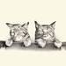 Cat Cats Kitten Animals Wall Art Prints Set of 6 Beautiful - Etsy