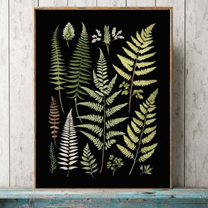 Fern Print Wall Art Green Forest Nature Home Decor AID14 Beautiful ...